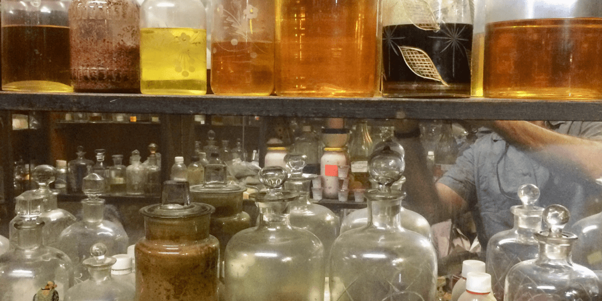 The scent collector – The Philtrum